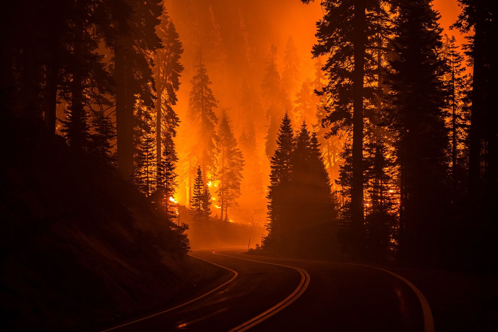 No es solo el calor: así se forma un incendio forestal
